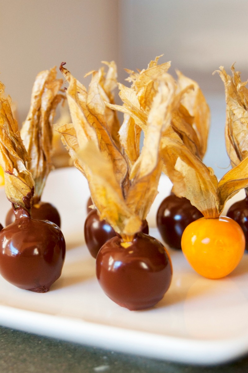 Commercial Gooseberry Farming - Berries for Africa